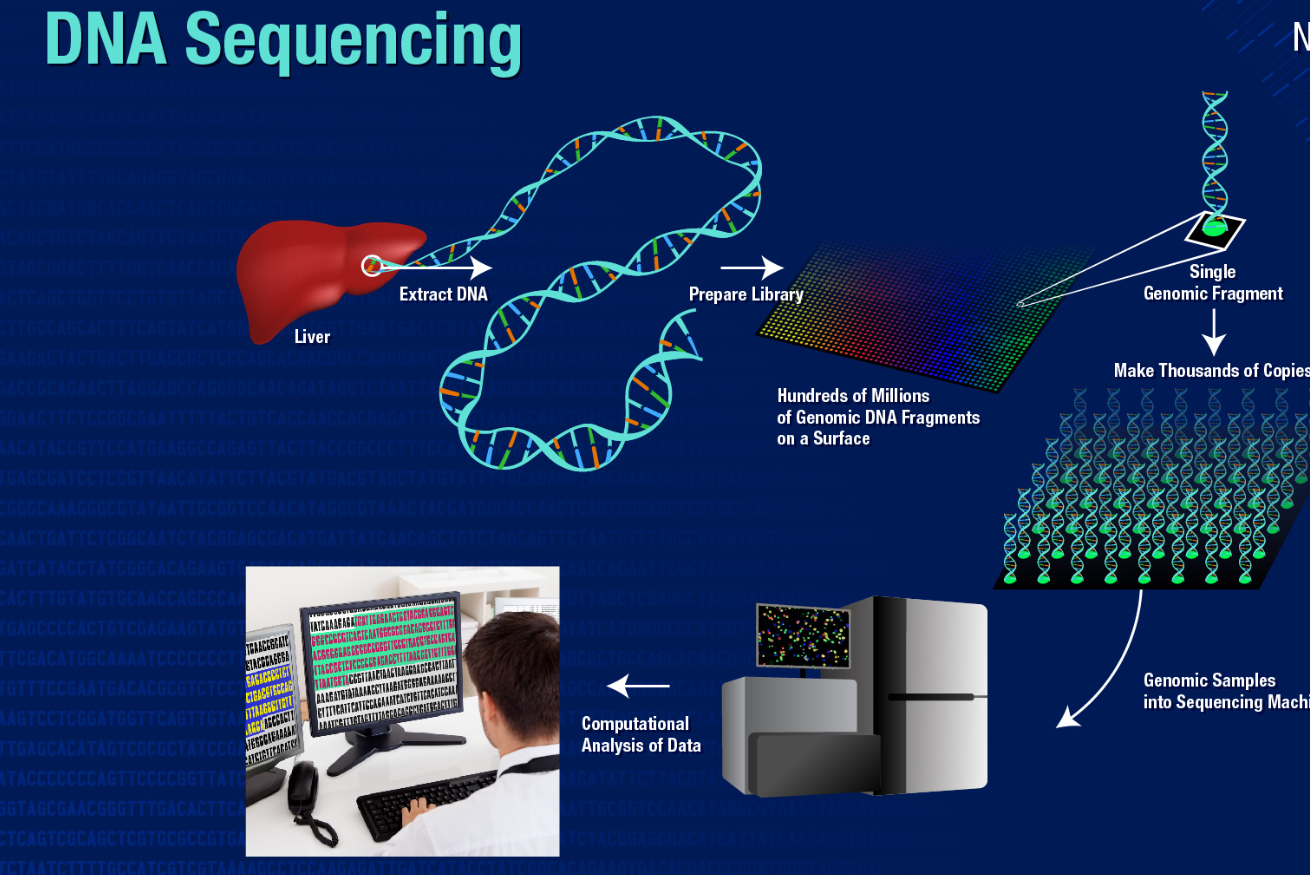 The Role Of Automation In Dna Sequencing Procedures The News God